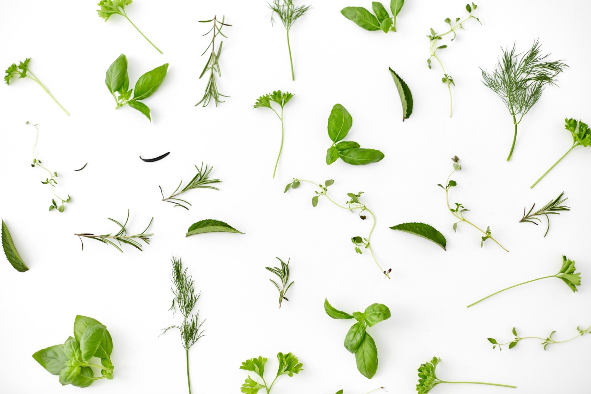 Το αρχαίο «βότανο των Βασιλέων» που βελτιώνει τη διάθεση - Κάνει καλό ...