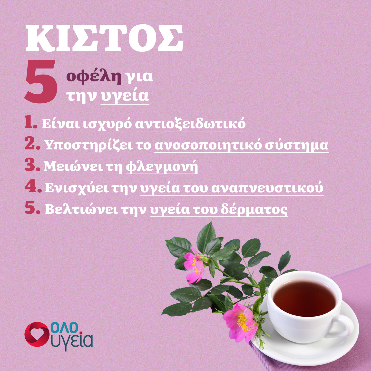 Το κρητικό βότανο που ενισχύει το αναπνευστικό και το ανοσοποιητικό και ...